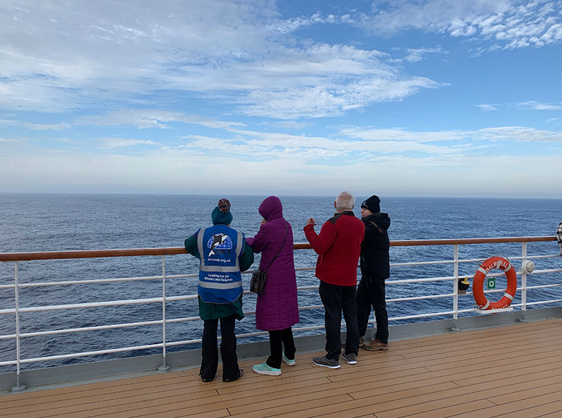 Orca Cruise - Wildlife Cruise Holidays