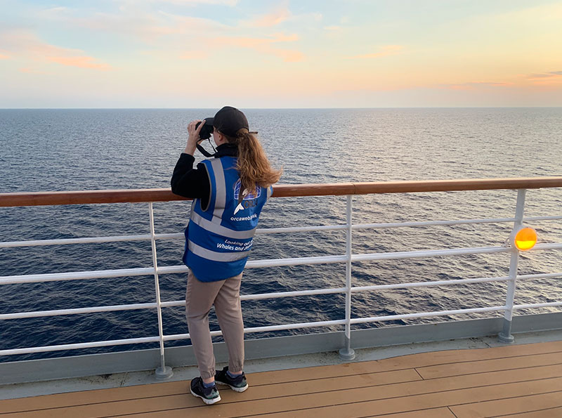 Orca Cruise - Wildlife Cruise Holidays