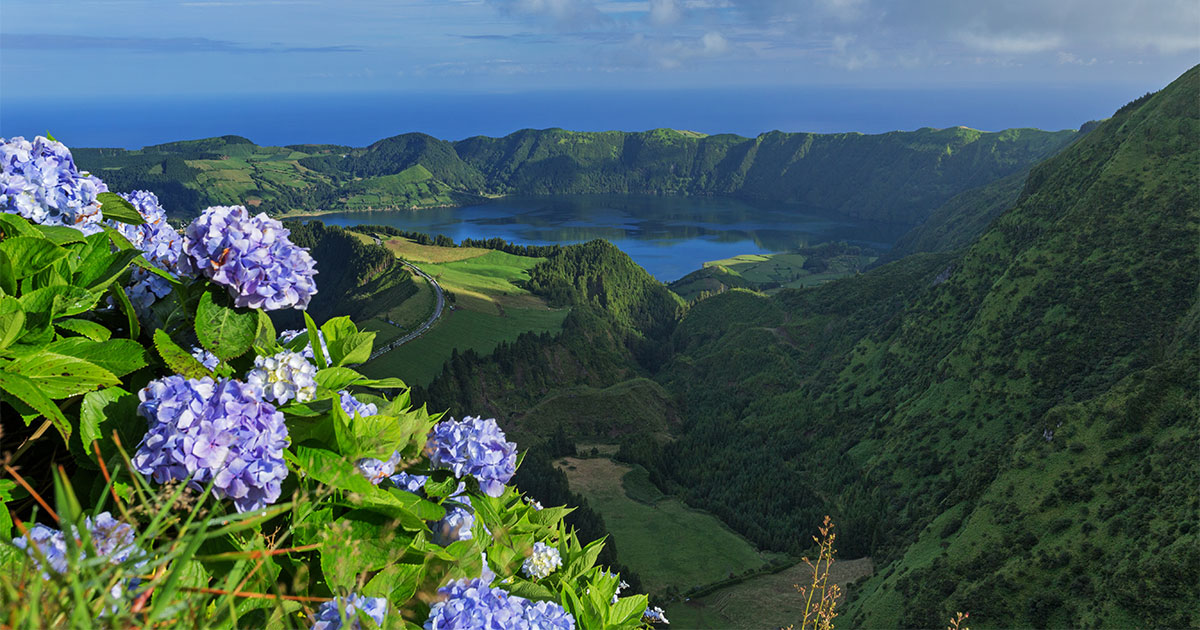 Cruise Deals, Offers & Discounts