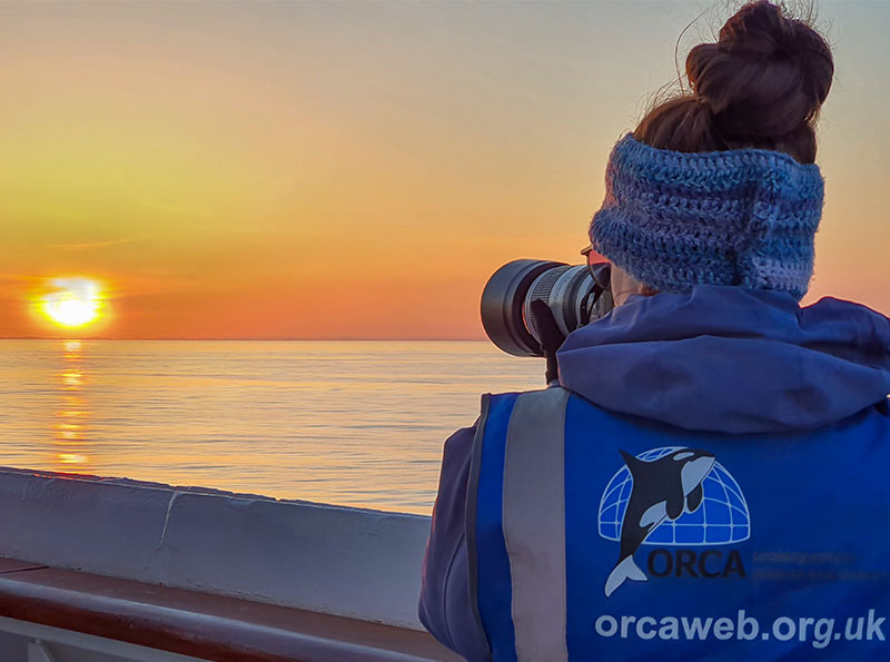 Orca Cruise - Wildlife Cruise Holidays